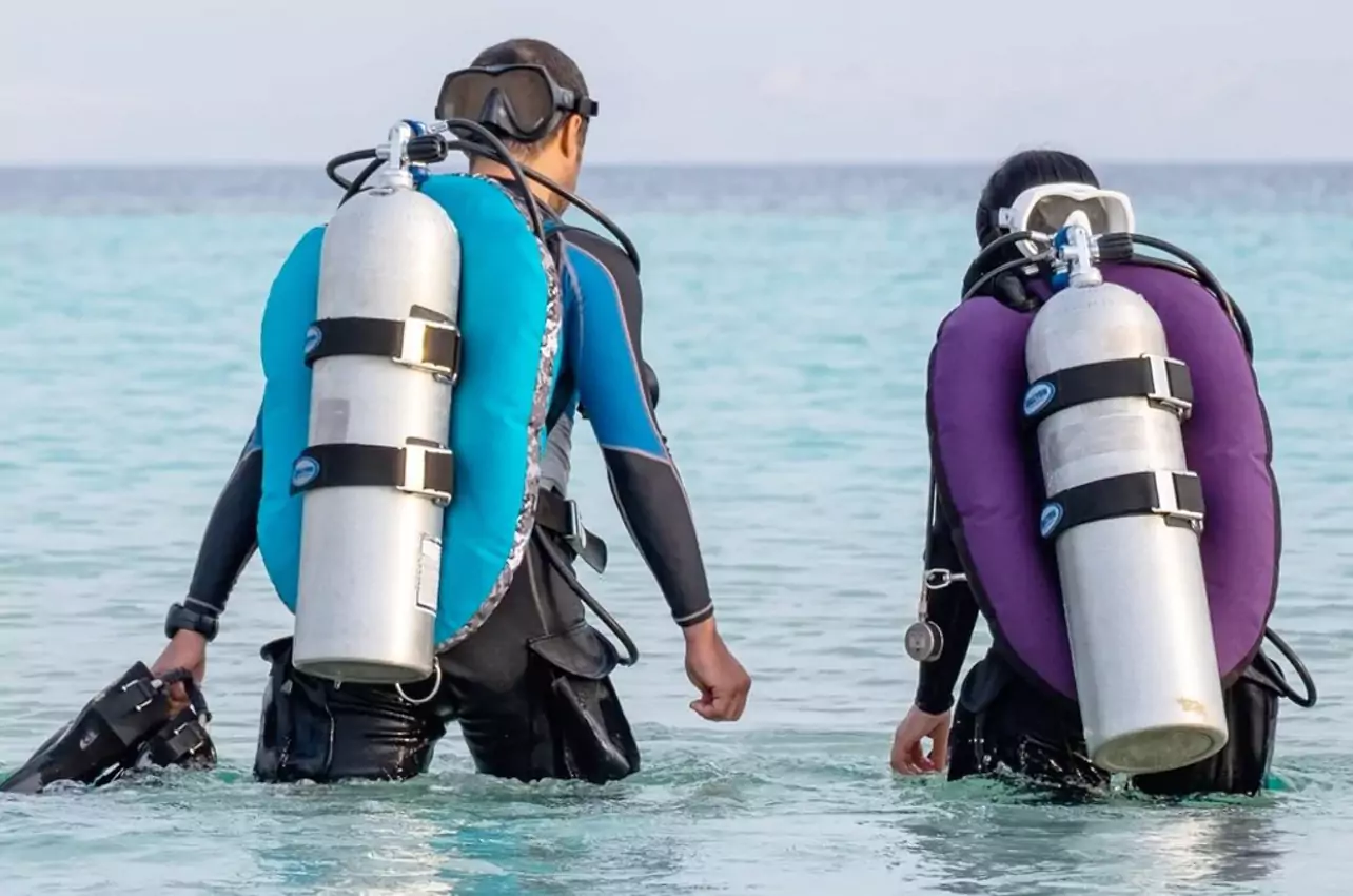 Diving Wings | Single Tank wings - DirDirect