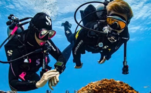 Scuba Diver Packages - DirDirect