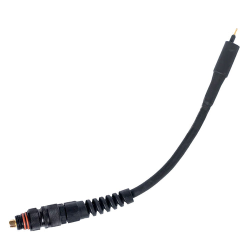 Ammonite e/o Light Cable - DirDirect